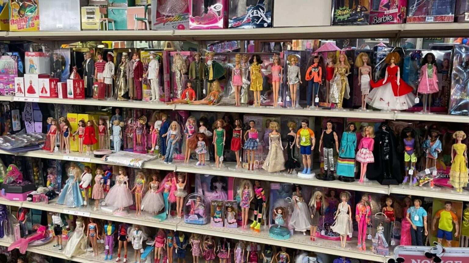 Custom Barbie Dolls – Design Your Own Dream Doll - TonySourcing